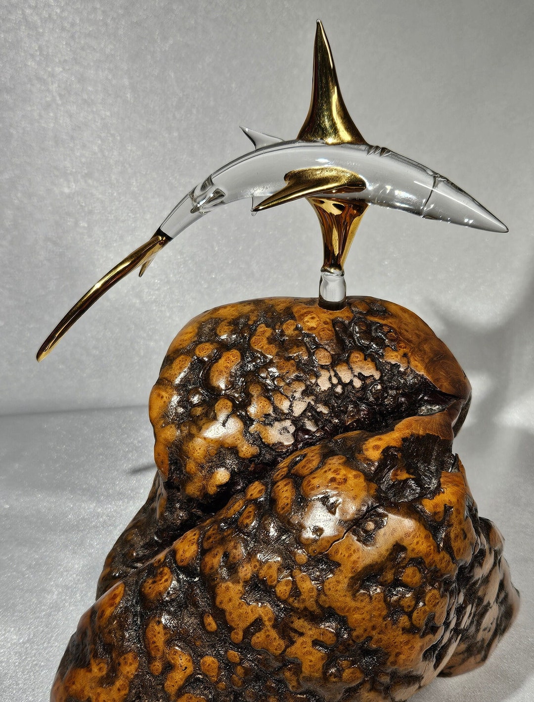 Glass Baron Reef Shark in Red Oak Burl - Etsy