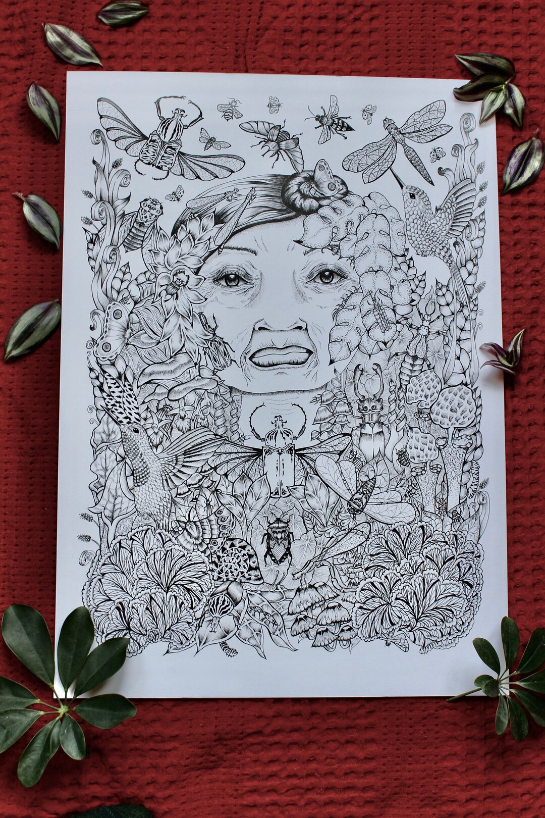 Insects - Print - Illustration - Feminine - Fine Art - Botanical ...