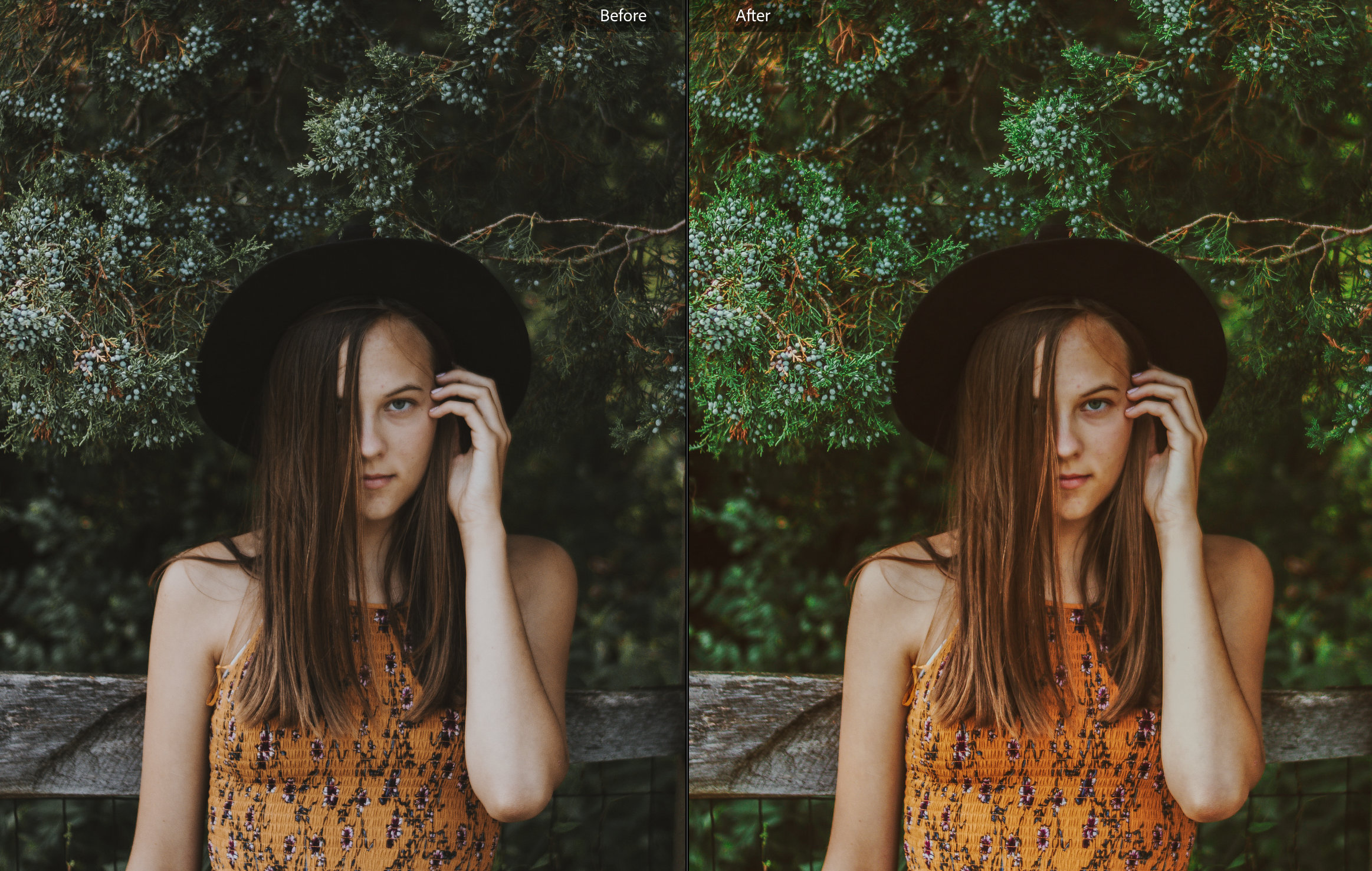 8 Forest Greens Lightroom Presets for Mobile Desktop Dark Green Filters ...