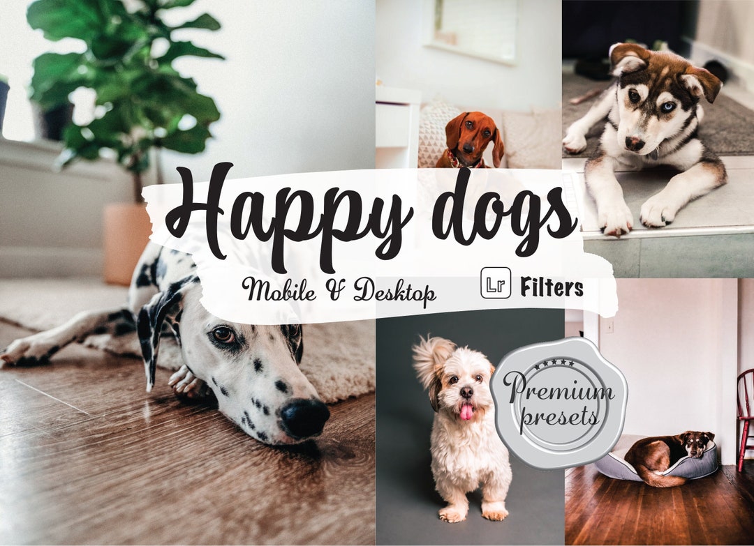 10 Dog Presets Lightroom Pet Filters Instagram Puppy Presets for Mobile ...