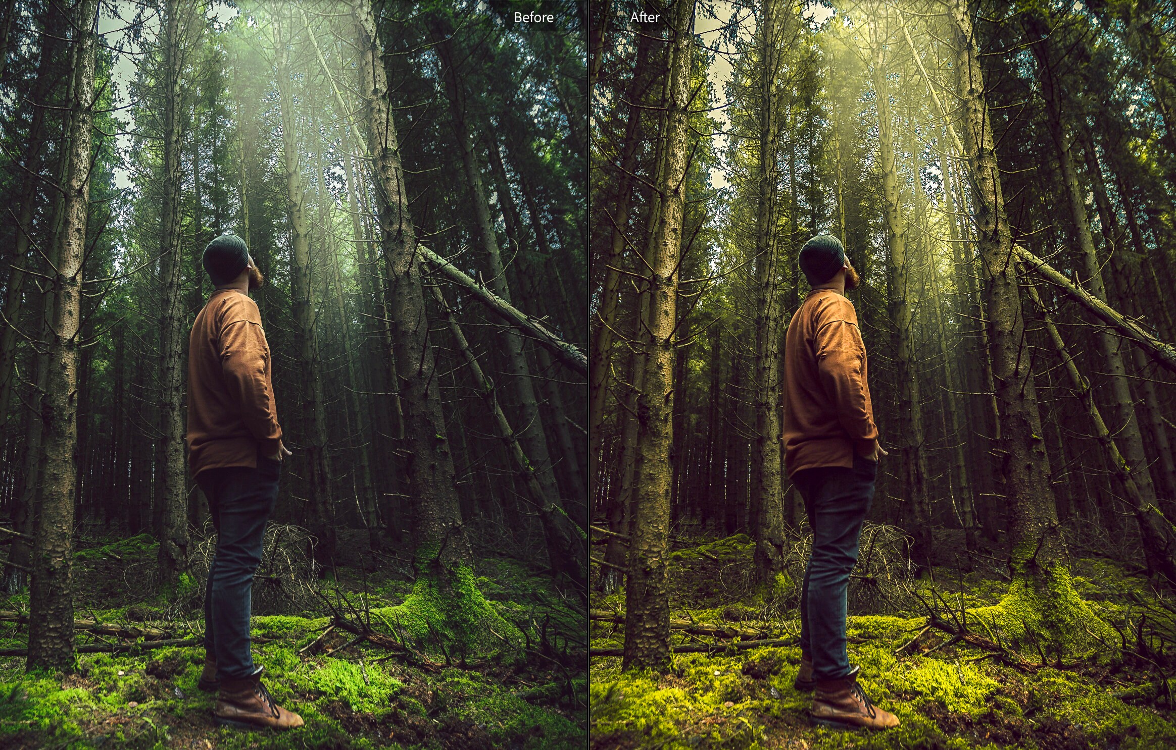 8 Forest Greens Lightroom Presets for Mobile Desktop Dark Green Filters ...