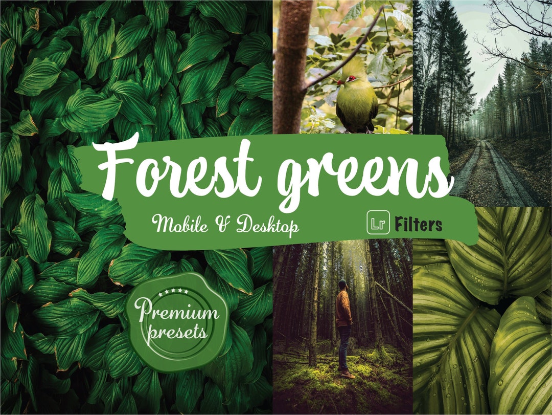 8 Forest Greens Lightroom Presets for Mobile Desktop Dark Green Filters ...