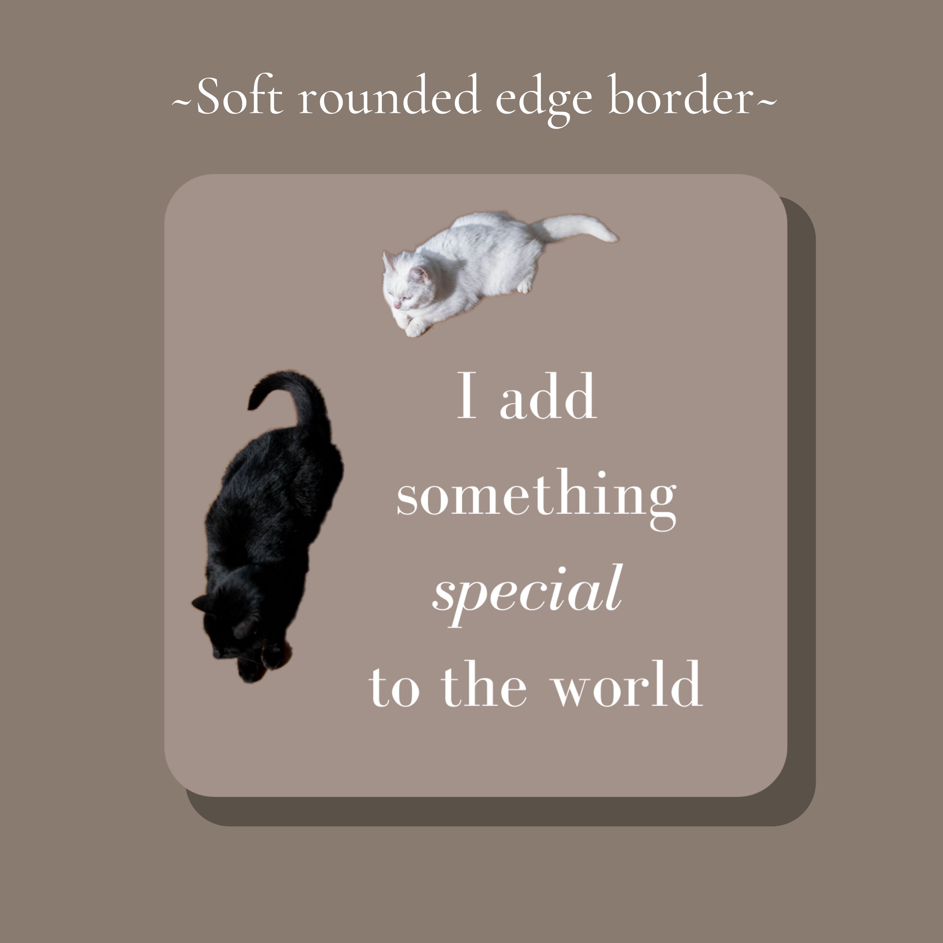 BUNDLE Cute Cat Printables, Cat Themed Affirmations, Positive Quotes ...