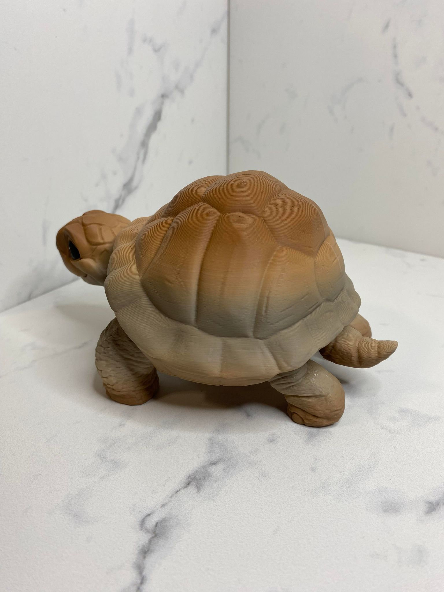 3D Printed Articulating Tortoise, Fidget Toy, Sensory Toy, Animal Decor ...