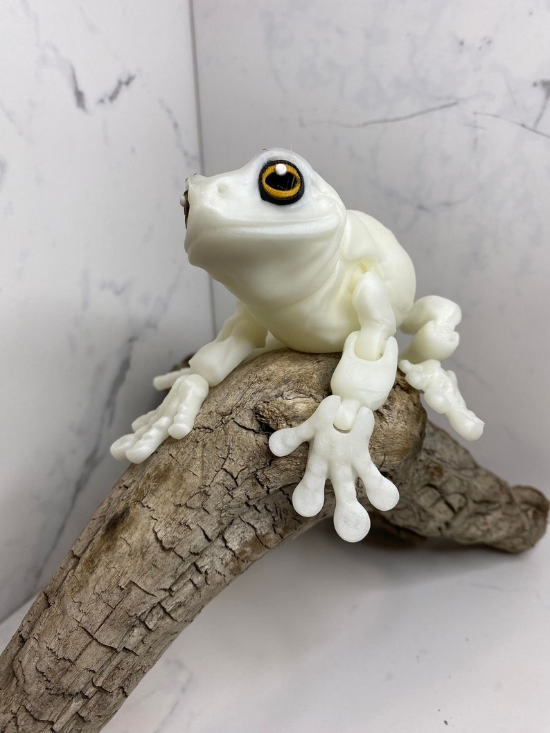 3D Printed Fully Articulating Frog Fidget/ Sensory Toy, Posable ...