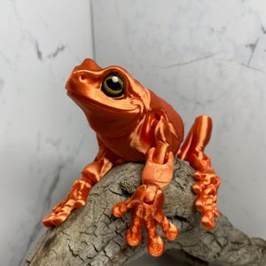 3D Printed Fully Articulating Frog Fidget/ Sensory Toy, Posable ...