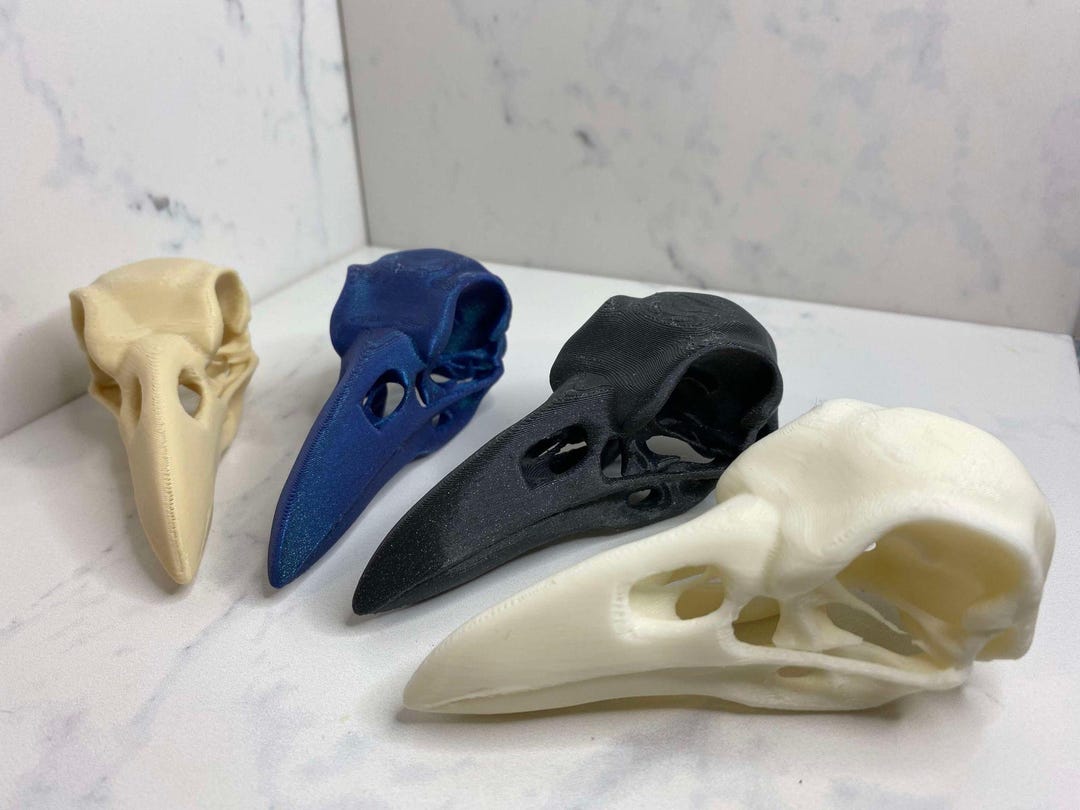 3D Printed Raven Skull: Spooky Halloween Curiosity Decor - Etsy