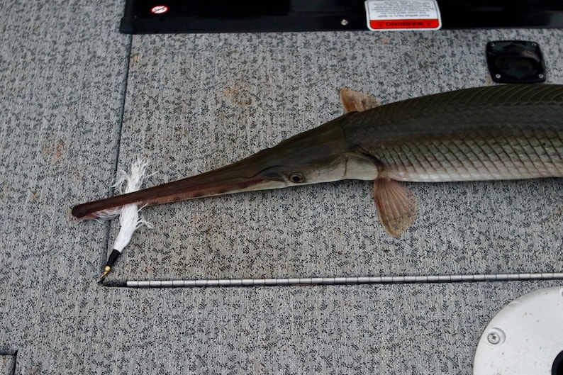 Handmade Gar Fishing Lure 3 Pack - Etsy