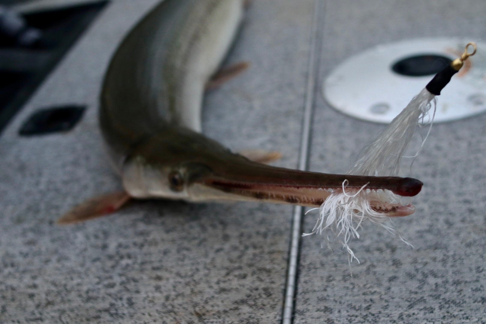 Handmade Gar Fishing Lure - Etsy