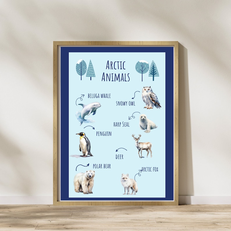Arctic Animals Poster Montessori Poster Homeschooling Educational ...