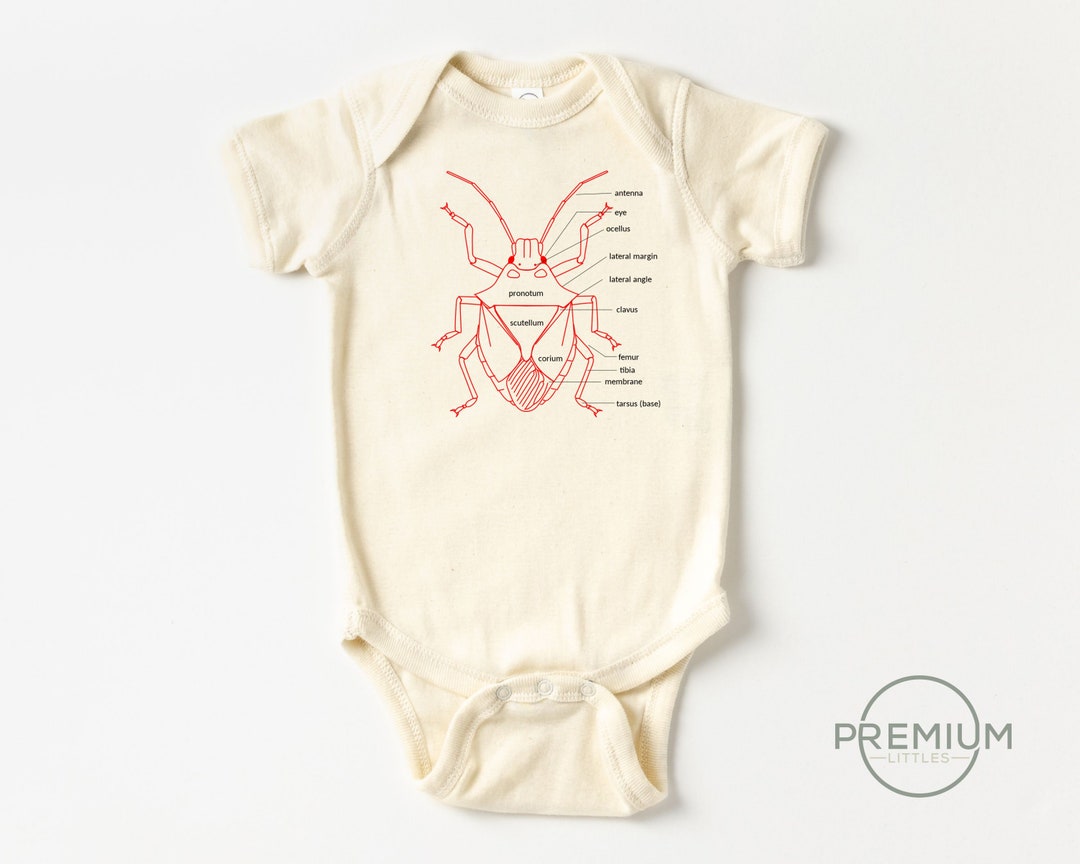 Bug Anatomy Baby Onesie: Natural Cotton Insect Diagram - Etsy