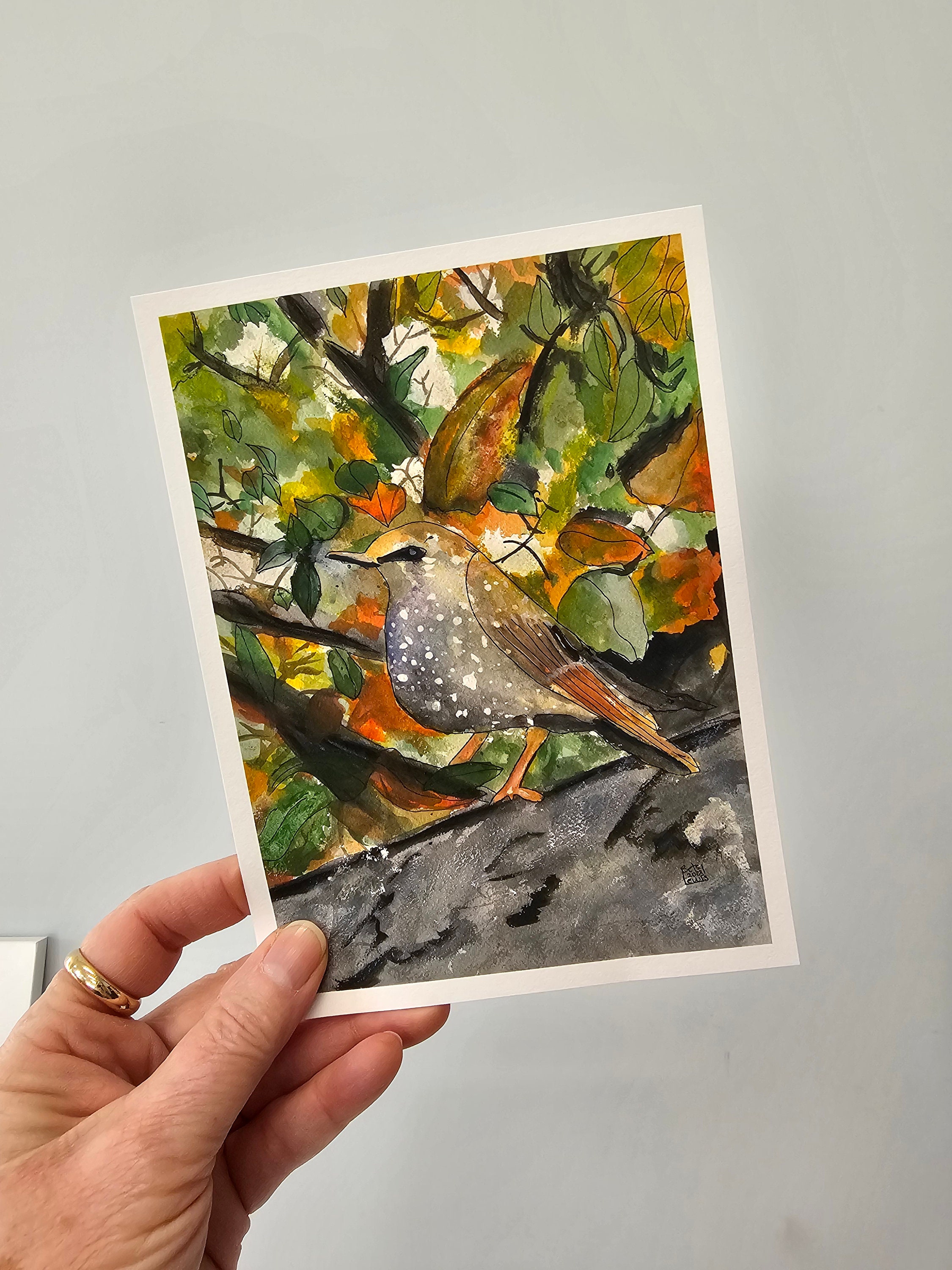 Starling Bird Art Prints, Bird Fine Art Prints, Colorful Bird Art, Bird ...