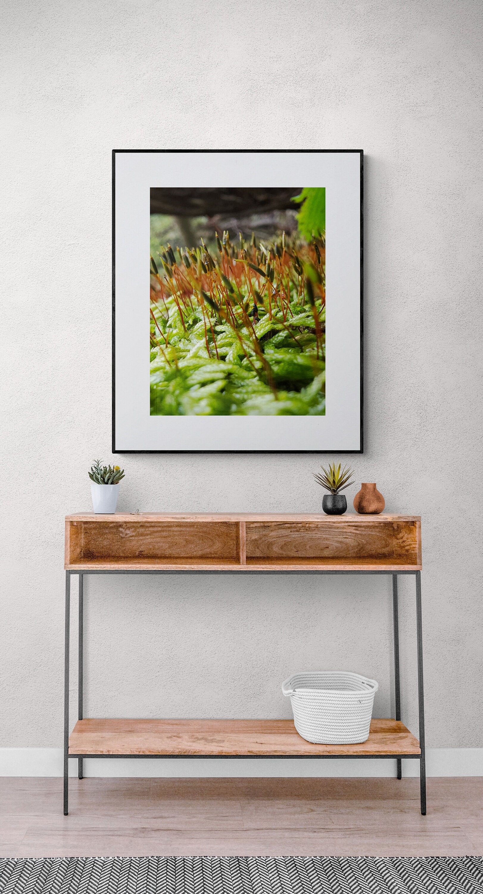 Red Moss Organic Earthy Macro Photo Scene Real Photography - Etsy