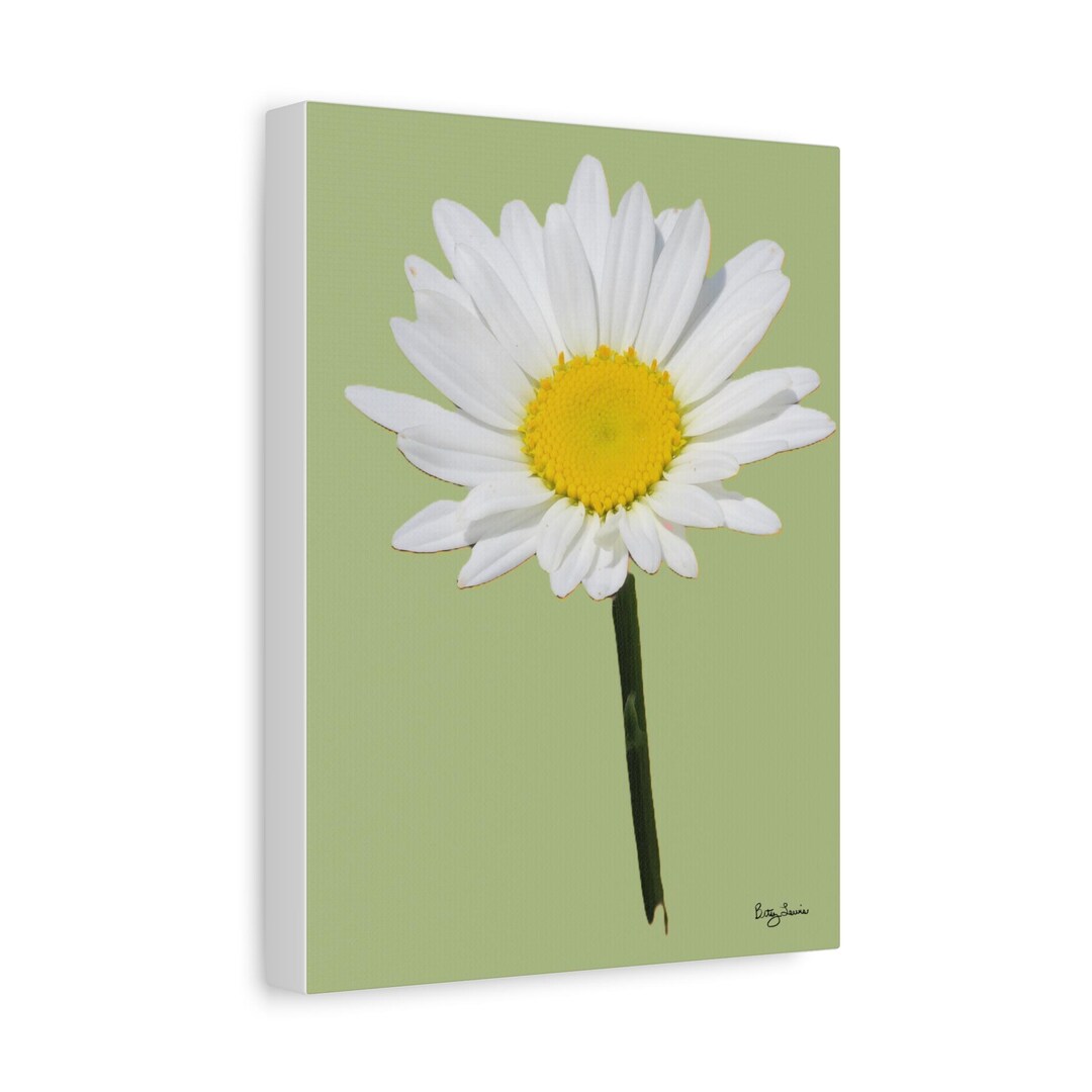 Daisy Do Green by Betsy Lewis on Matte Canvas, Stretched, 1.25" - Etsy