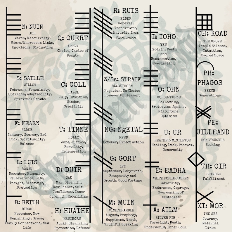 Celtic Tree Ogham Meanings and Casting Instructions - Etsy