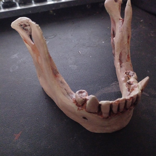 Jaw Bone Phone Stand - Etsy