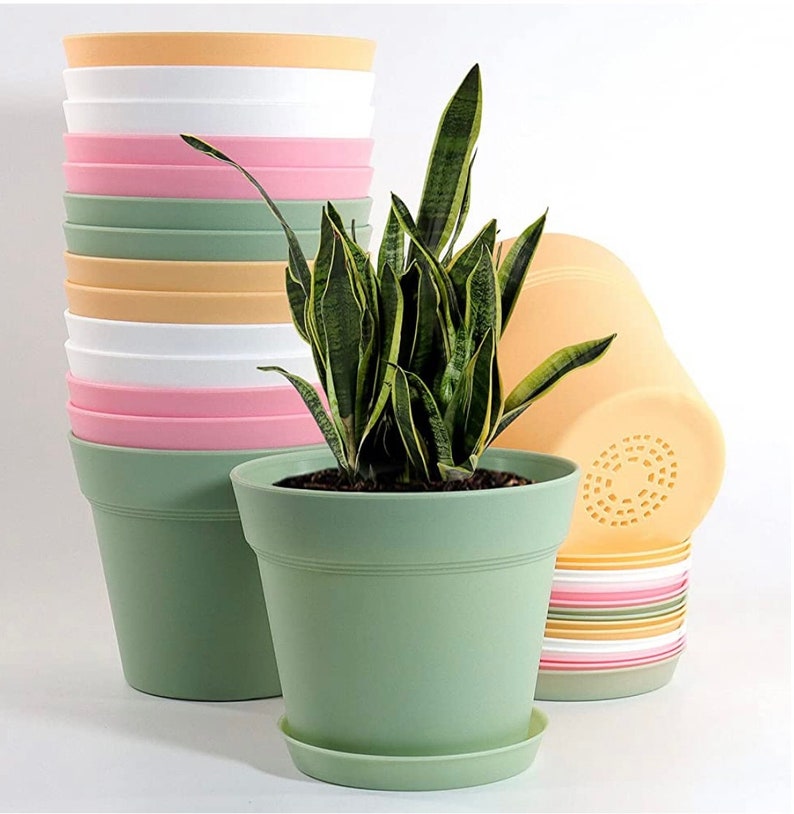 Teacher Appreciation Gift- Personalized Pot With Seeds - Etsy