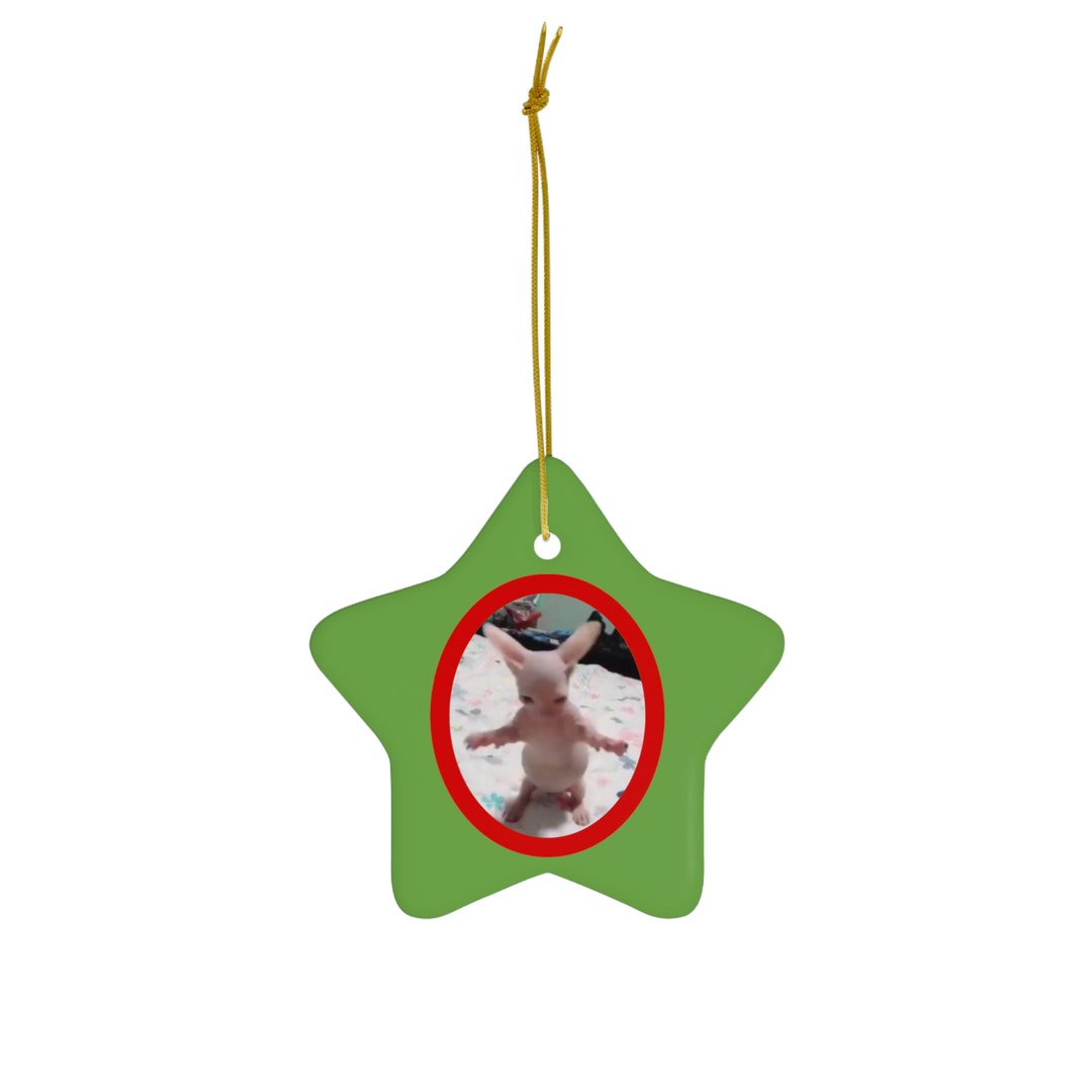 Baby Bingus Christmas Tree Ornament Funny Meme Holiday Decoration Cute ...
