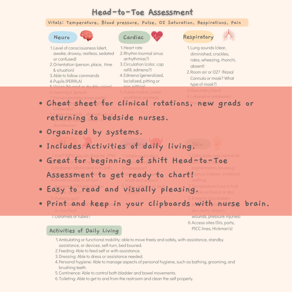 Head-to-toe Assessment Guide | New Grads | Returning to Bedside ...