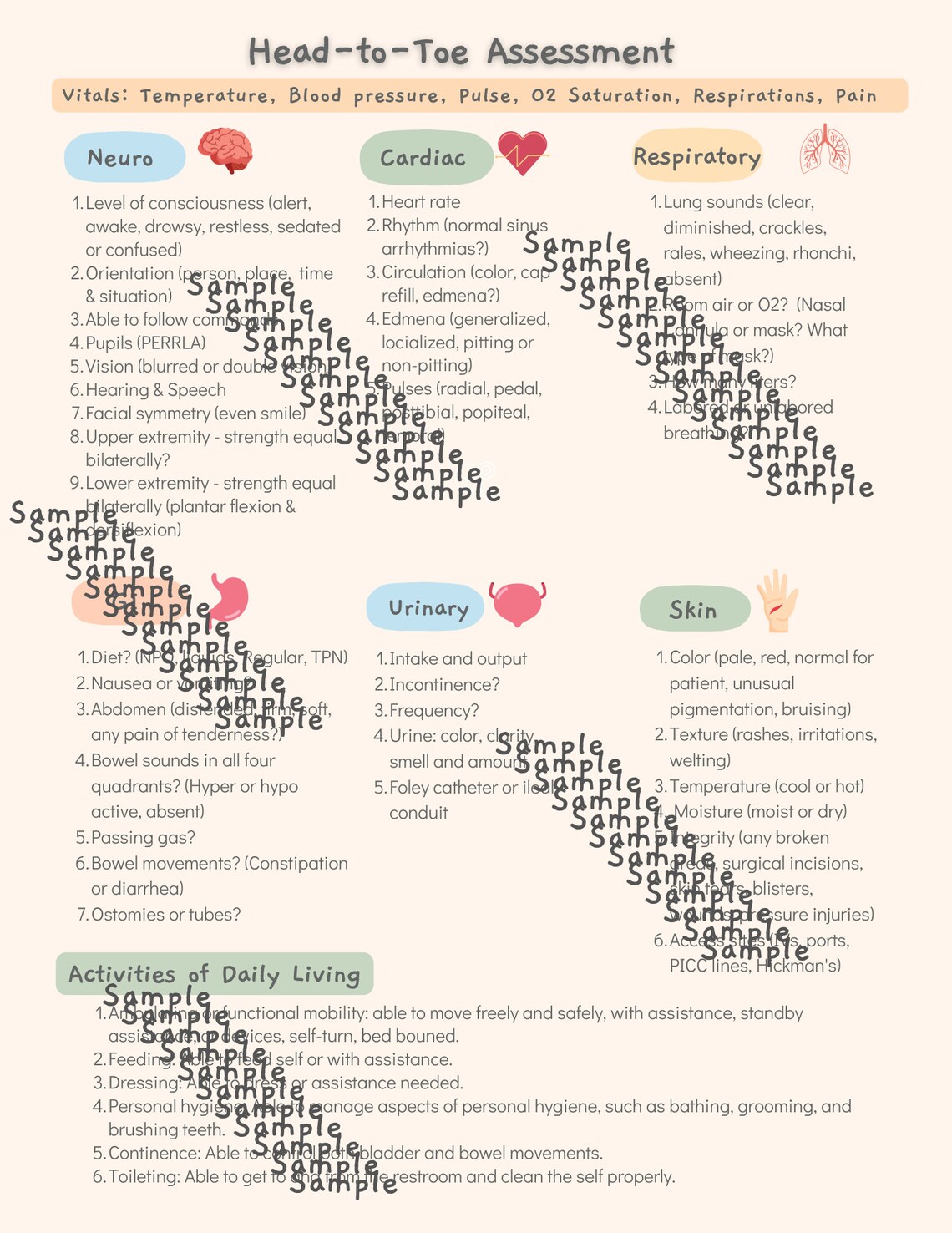 Head-to-toe Assessment Guide | New Grads | Returning to Bedside ...