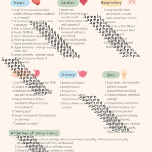 Head-to-toe Assessment Guide | New Grads | Returning to Bedside ...
