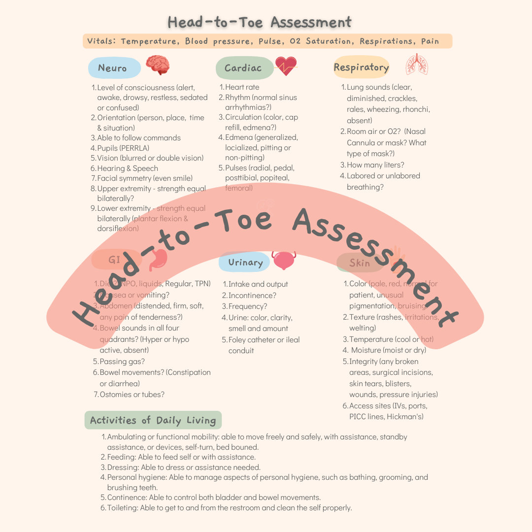 Head-to-toe Assessment Guide | New Grads | Returning to Bedside ...