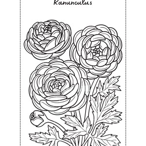 Printable Flower Coloring Book for Kids 46 Fun and Easy Floral Designs ...