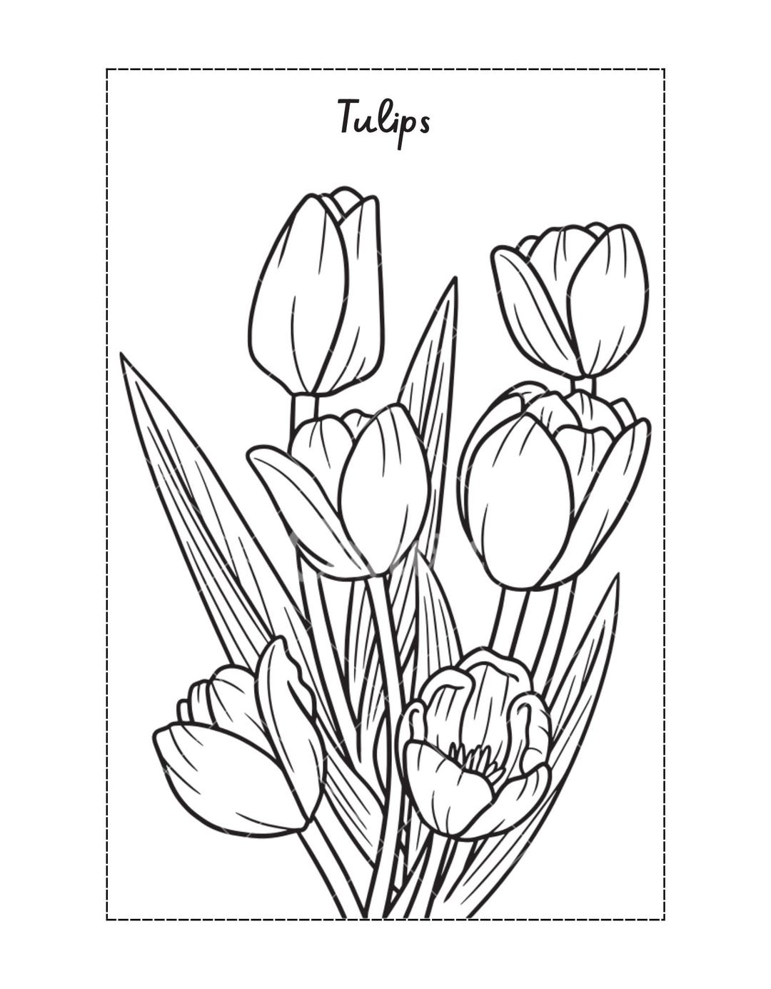 Printable Flower Coloring Book for Kids 46 Fun and Easy Floral Designs ...