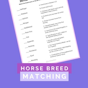Horse Breed Matching Worksheet - Etsy