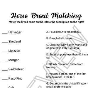 Horse Breed Matching Worksheet - Etsy