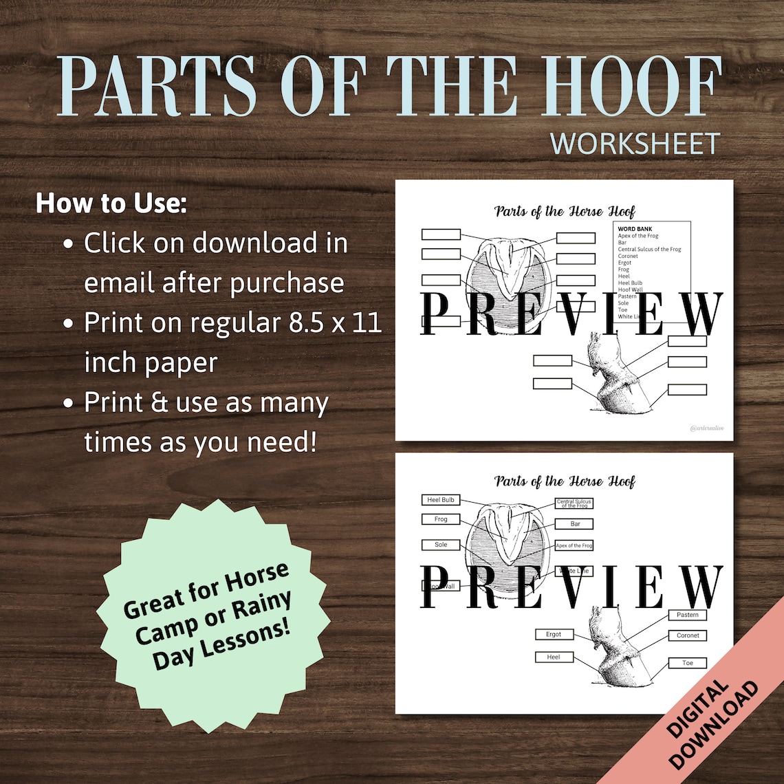 Parts of the Horse Hoof Activity Worksheet | Label Horse Foot Equine ...