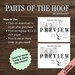 Parts of the Horse Hoof Activity Worksheet | Label Horse Foot Equine ...