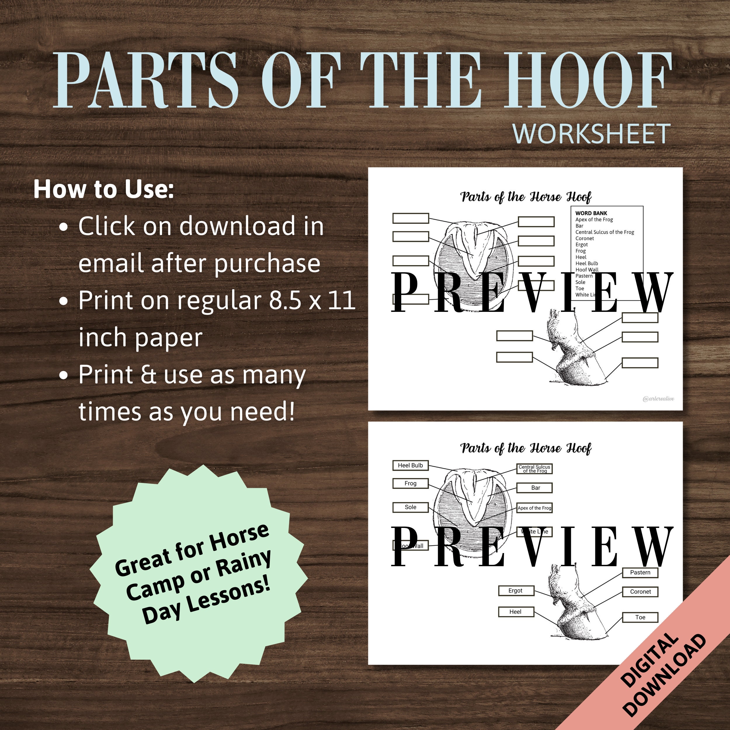 Parts of the Horse Hoof Activity Worksheet | Label Horse Foot Equine ...