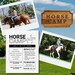 Horse Camp Flyer Template Canva Flyer Template Summer Camp Flyer ...