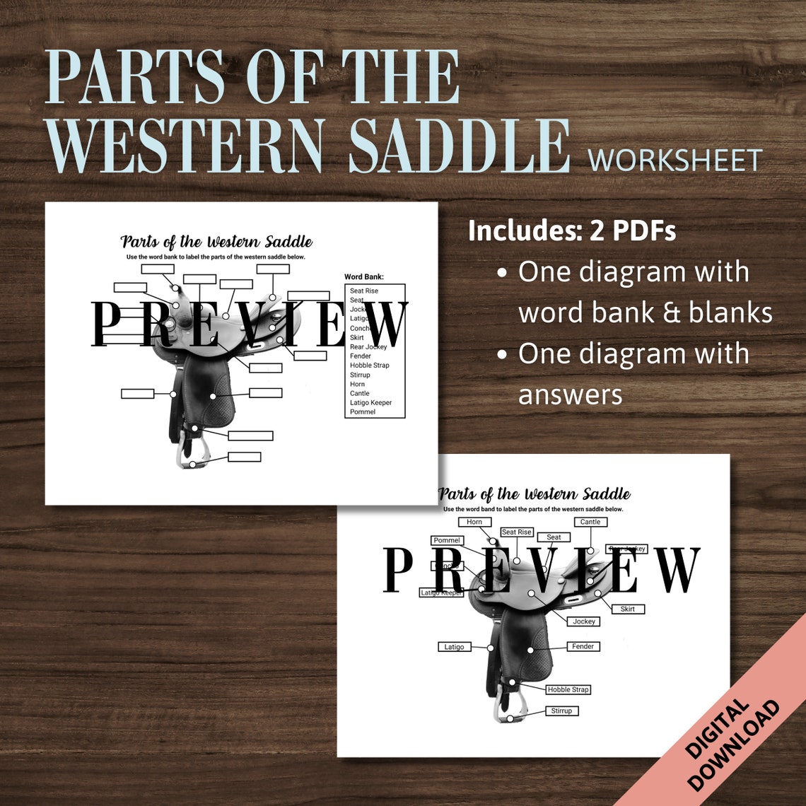 Parts of the Horses Western Saddle | Horse Tack Equipment Label ...