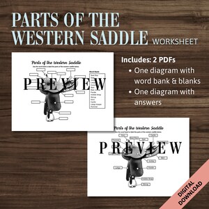 Parts of the Horses Western Saddle | Horse Tack Equipment Label ...