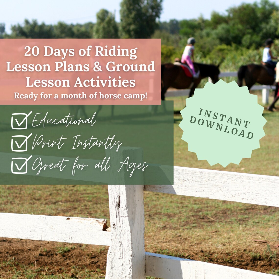 Horse Camp Activity Worksheet | Horseback Riding Lesson Plan ...