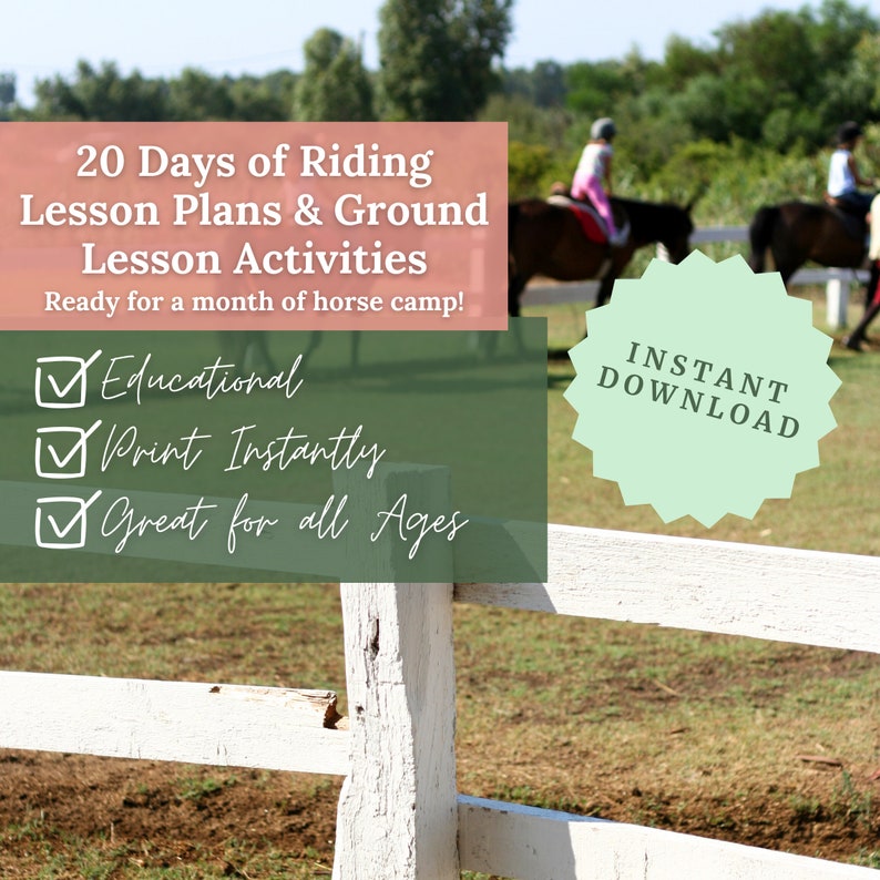 Horse Camp Activity Worksheet | Horseback Riding Lesson Plan ...