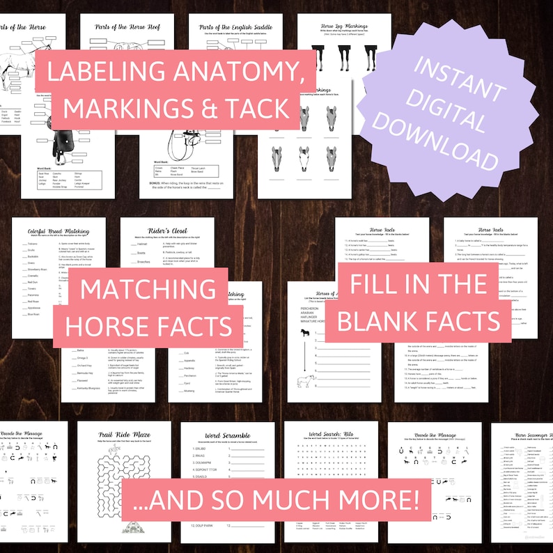 Horse Camp Worksheet Bundle | Horseback Riding Lesson Rain Day Activity ...