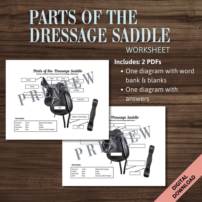 Parts of the Dressage Saddle Horse Camp Worksheet Activity | Horseback ...