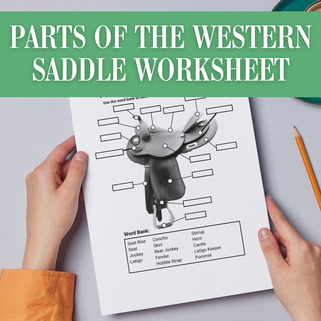 Parts of the Horses Western Saddle | Horse Tack Equipment Label ...