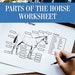 Horse Farm Management Spreadsheet | Barn or Stable Organization ...