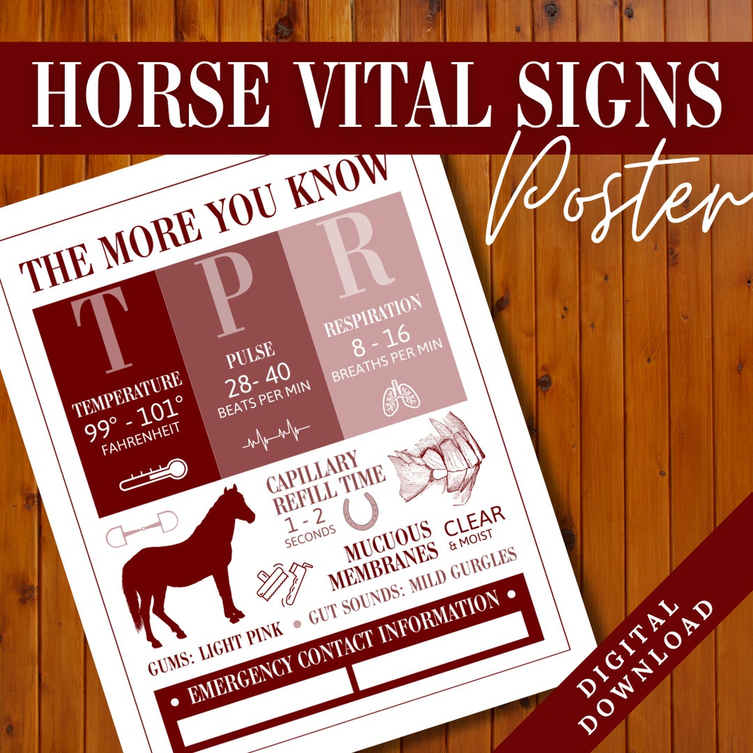 Horse Vital Signs Poster | Barn Emergency Contact Info Sign | Equine ...