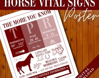 Parts of the Horse Worksheet - Etsy