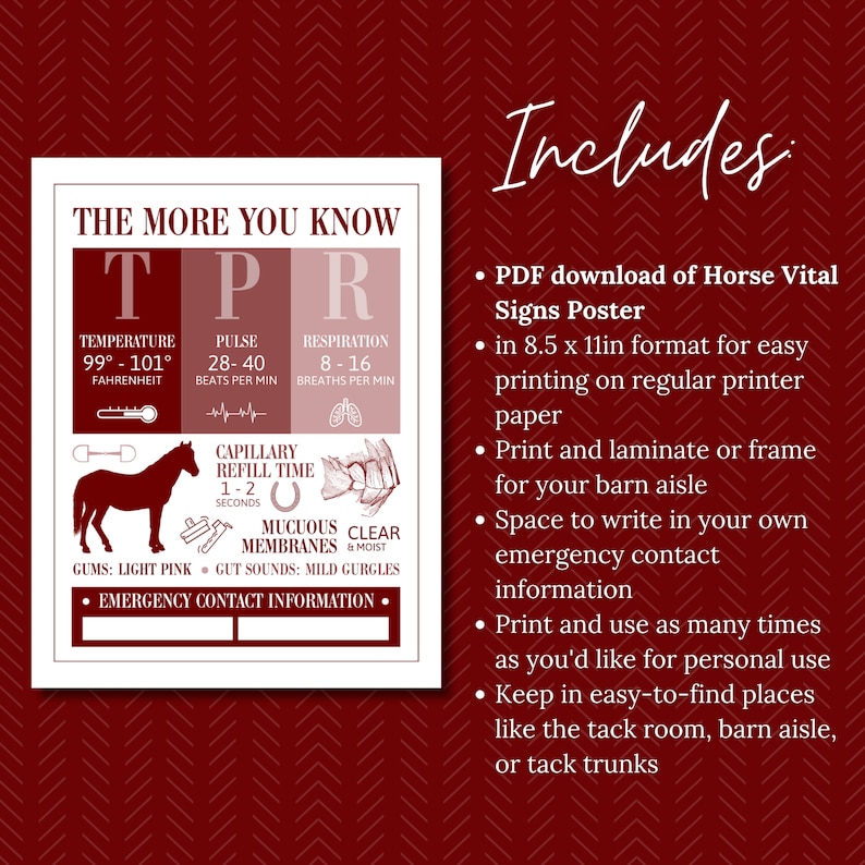 Horse Vital Signs Poster | Barn Emergency Contact Info Sign | Equine ...