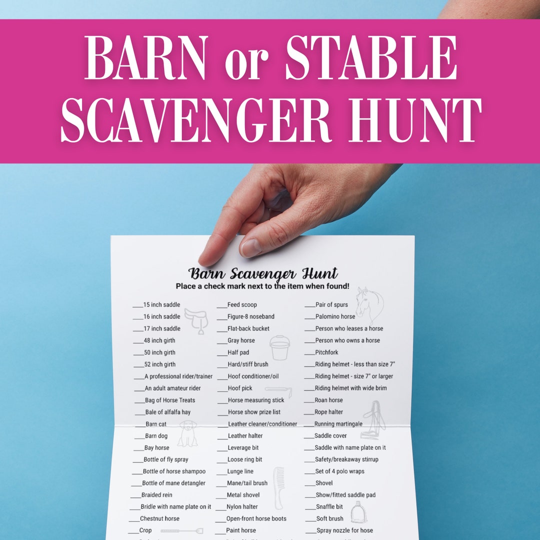 Horse Camp Activity | Horseback Riding Lessons | Barn Stable Scavenger ...