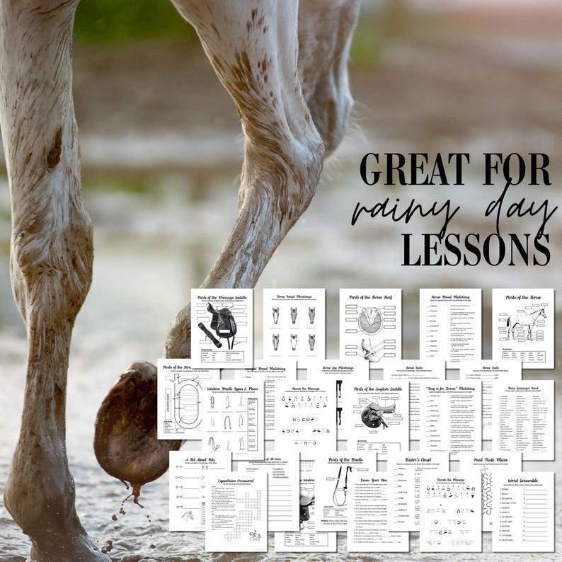 Equestrian Worksheet Bundle | Horse Camp, Homeschool Activity (digital ...