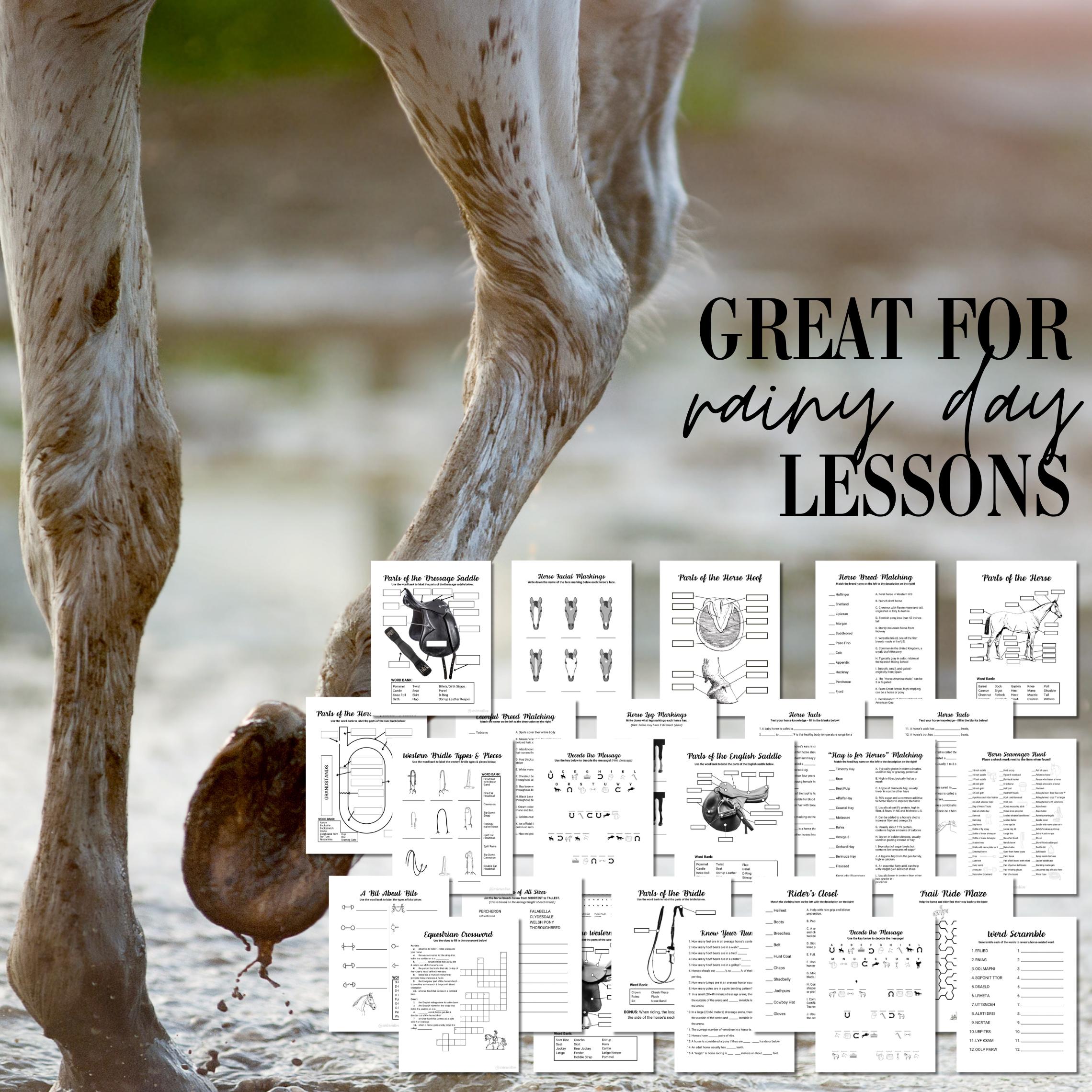 Horse Camp Worksheet Bundle | Horseback Riding Lesson Rain Day Activity | Homeschool Horse ...
