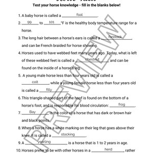 Horse Facts Worksheet - Fill in the Blank - Etsy