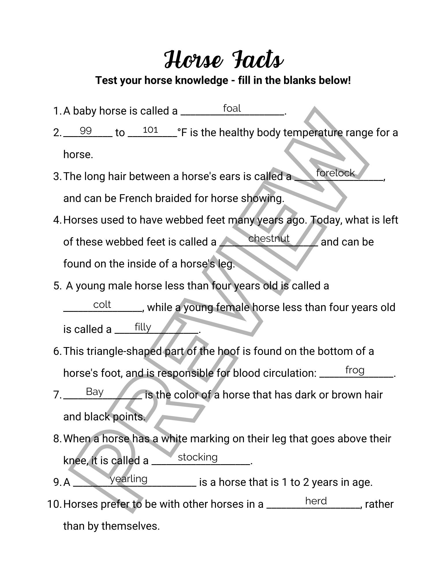 Horse Facts Worksheet - Fill in the Blank - Etsy
